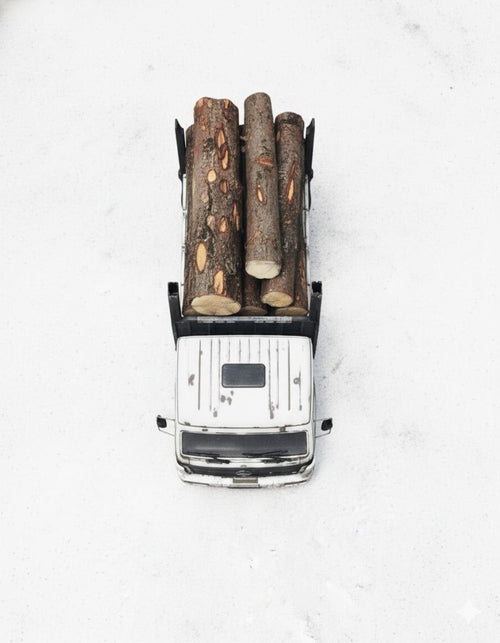 Miniatura Ford Cargo 2428 Baú (Escala 1/24) – Br Miniaturas Express